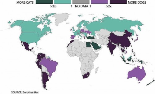 CAT PEOPLE VS. DOG PEOPLE: A GEOGRAPHICAL STUDY | The Catnip Times