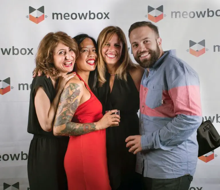 CatConLA’s Untold Stories: The Underground Celebrity Cat Community ...