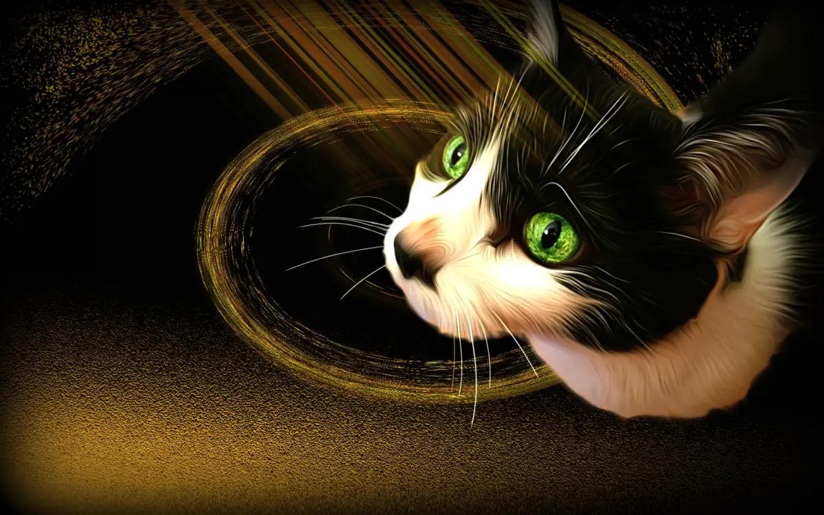 PHIL MEYER, CAT ARTIST | The Catnip Times