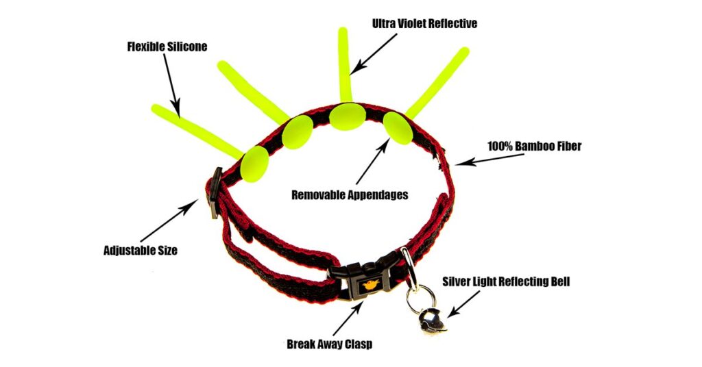 SOLVING THE CAT-BIRD PREDATION ISSUE - Everything Trending In Cats