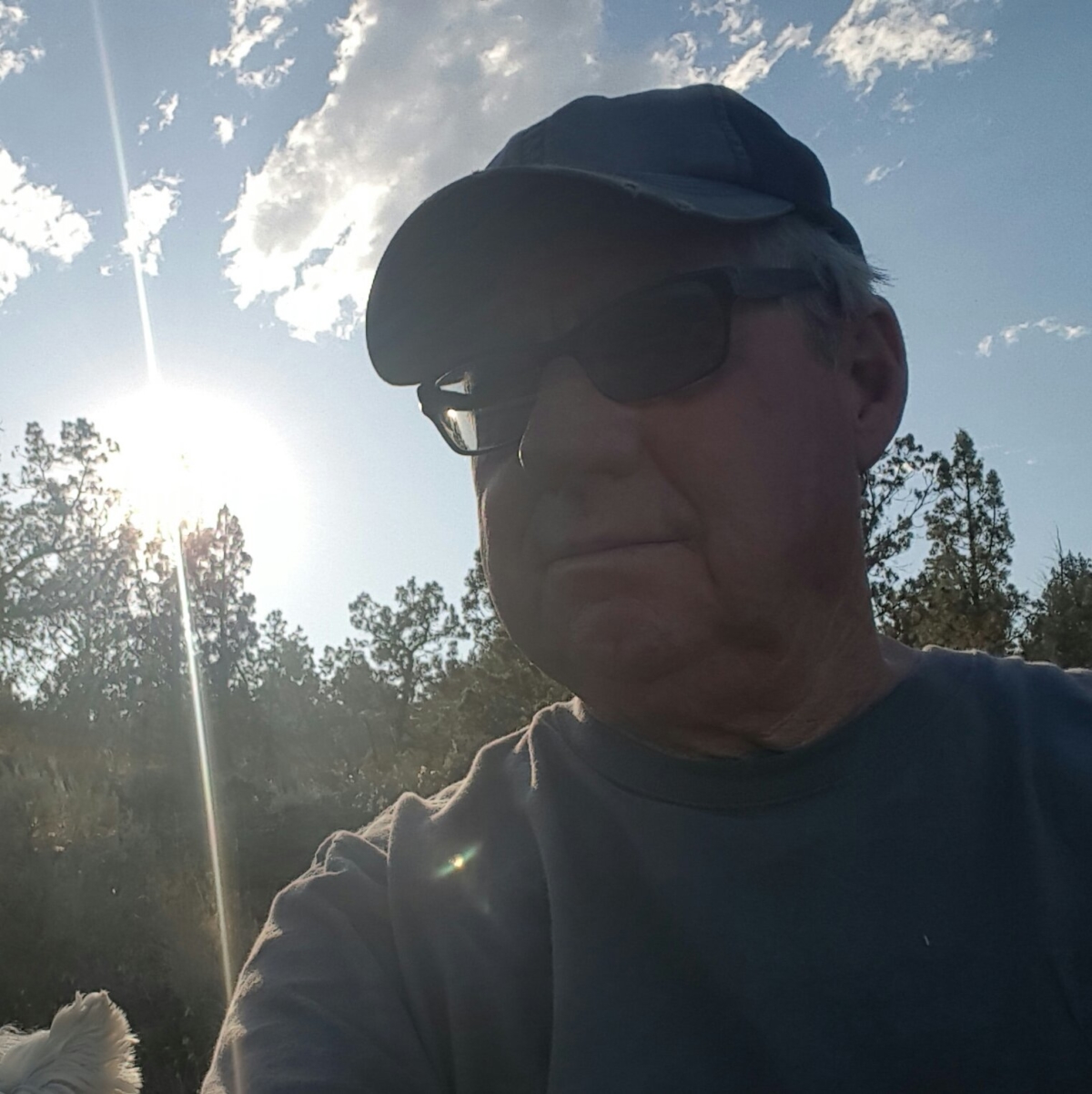 SOLVING THE CAT-BIRD PREDATION ISSUE - Everything Trending In Cats