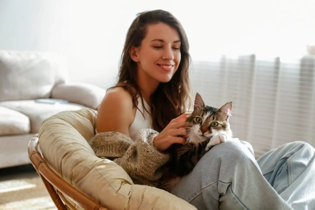 REGISTERING YOUR CAT AS AN EMOTIONAL SUPPORT ANIMAL | The Catnip Times
