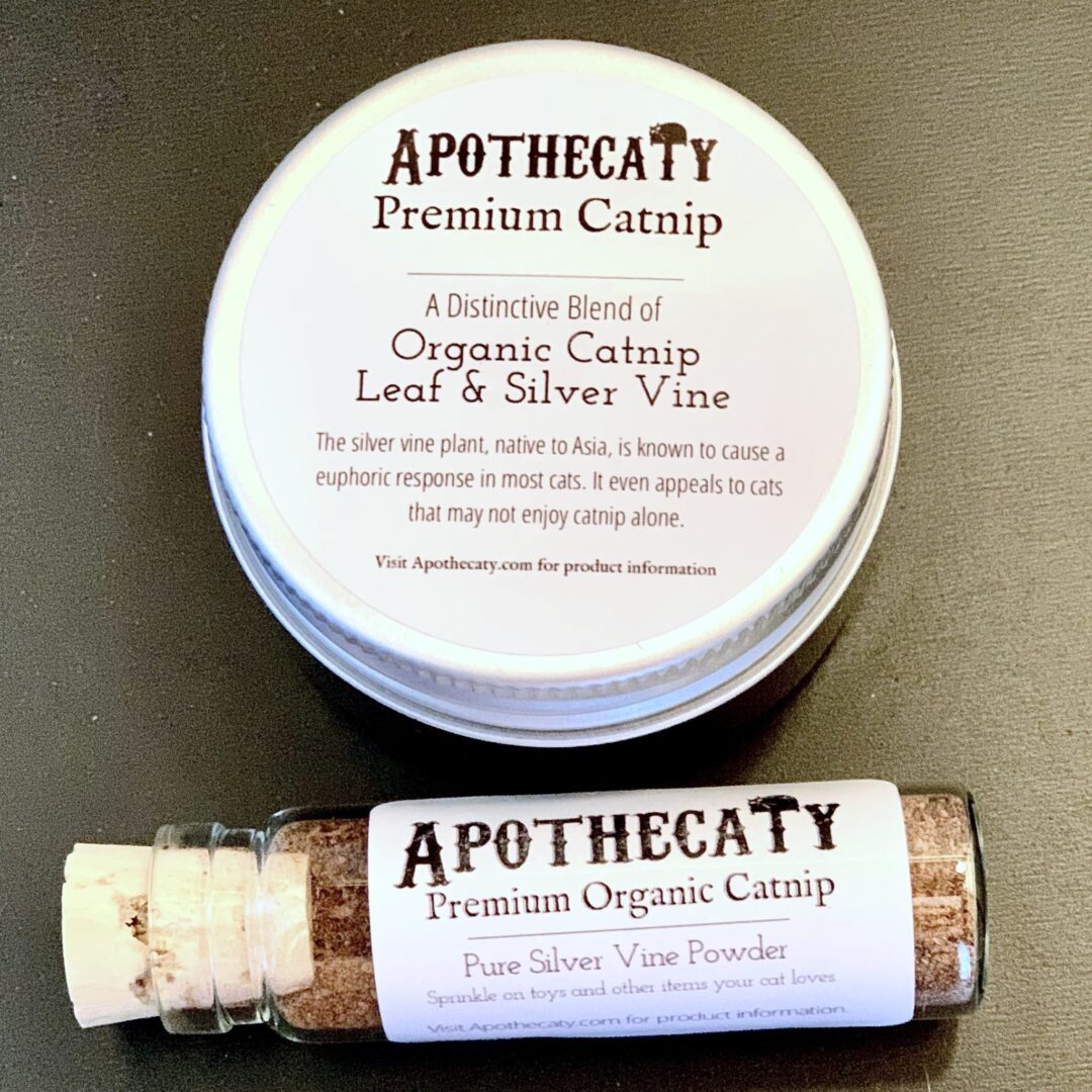 Silver Vine: A Popular Alternative to Catnip | The Catnip Times