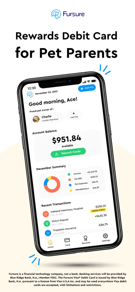 Fursure Card: Rewards Debit Card for Pet Parents | The Catnip Times