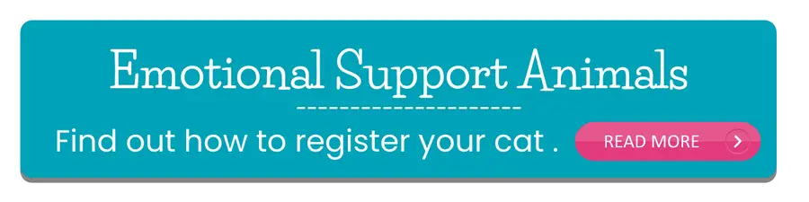 The Catnip Times | Celebrate Cats Every Day!