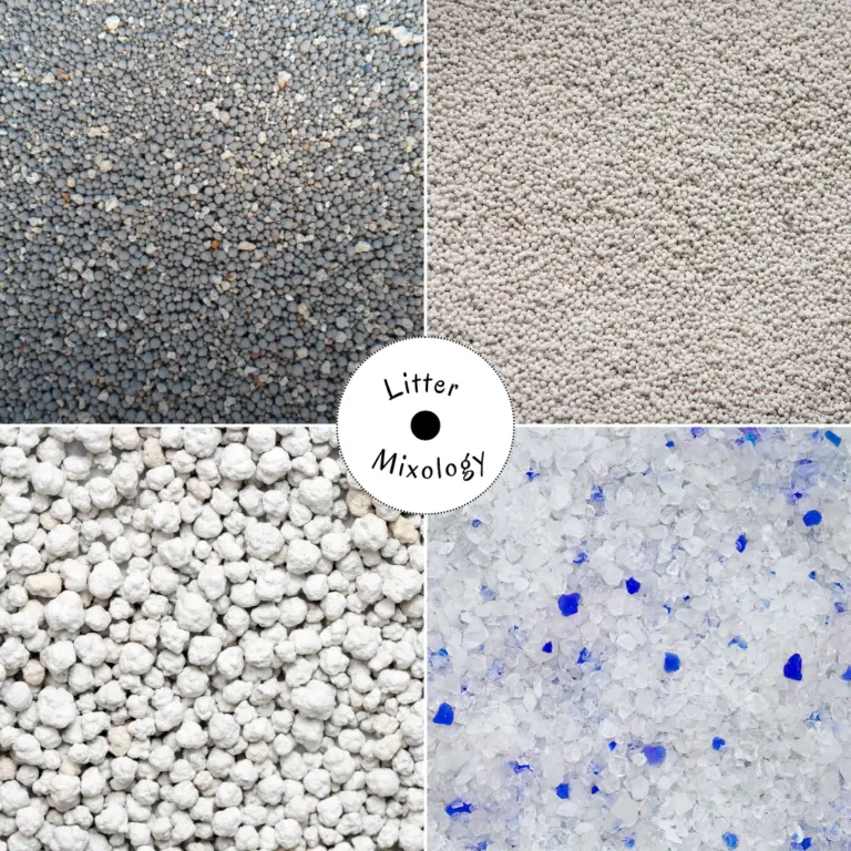 Litter Mixology: Creating the Perfect Blend for Your Cat's Litter Box ...